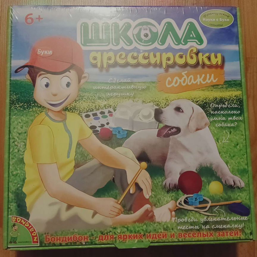 Bondibon школа дрессировки собак