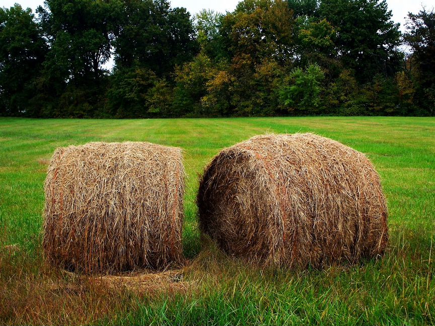 Продам сено в мешках