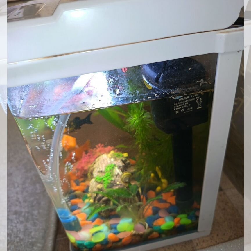Аквариум на 5литров