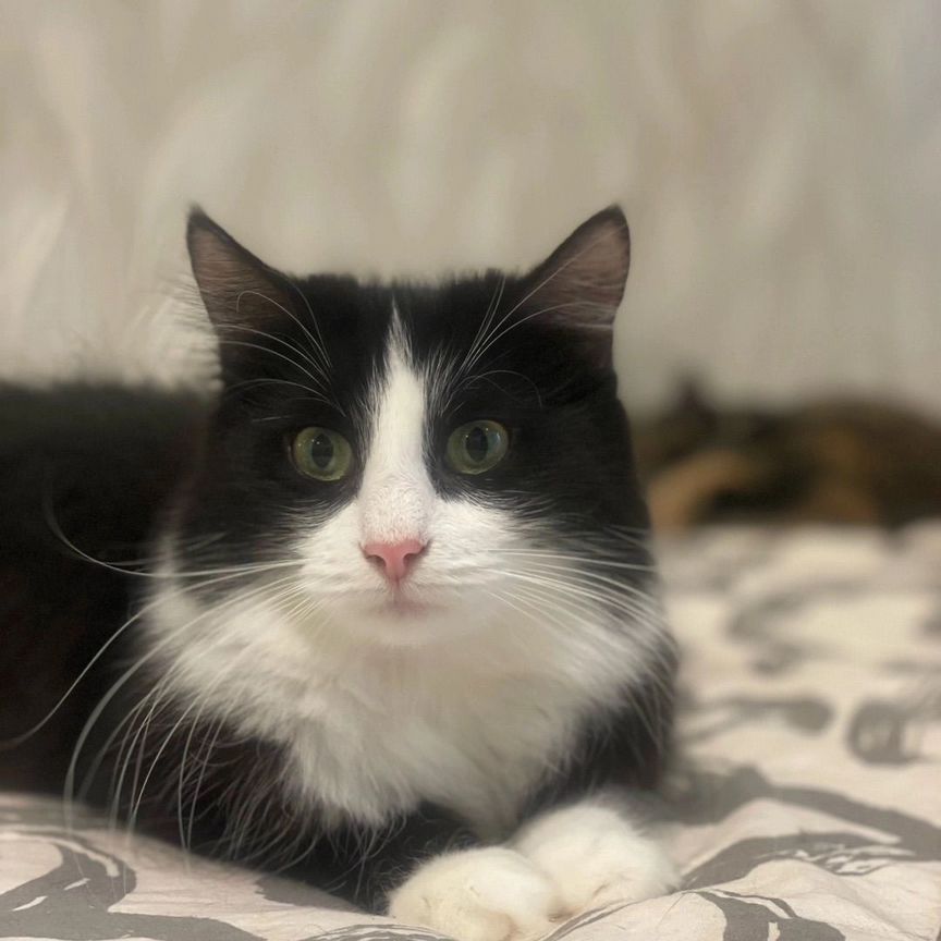 Дусечка 2 годика, хорошая девочка