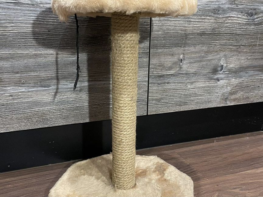 Когтеточка