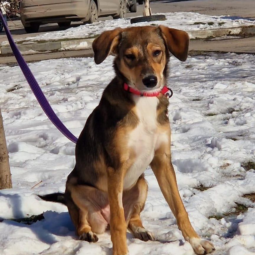 Совсем ещё дитё