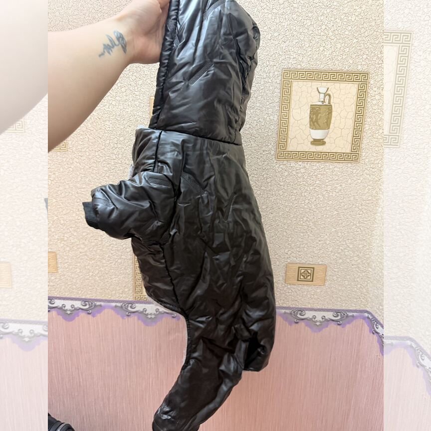 Одежда для собак