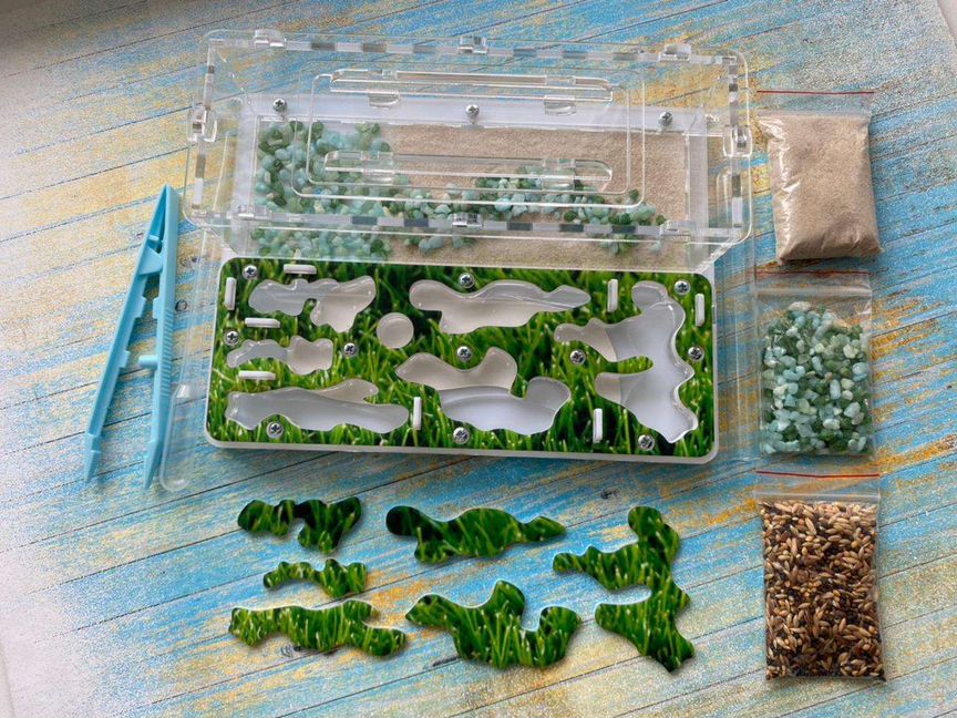 Муравьиная ферма с муравьями+декор