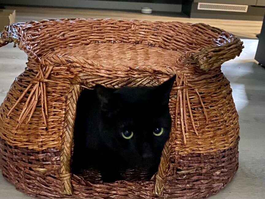Домик для кошки
