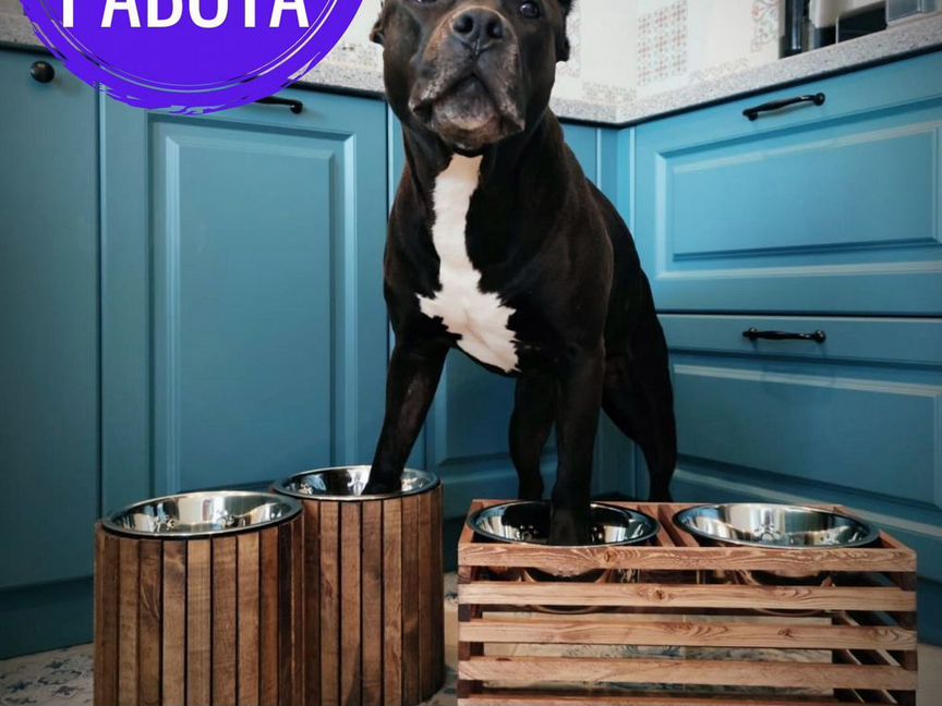 Миски для собак с подставкой