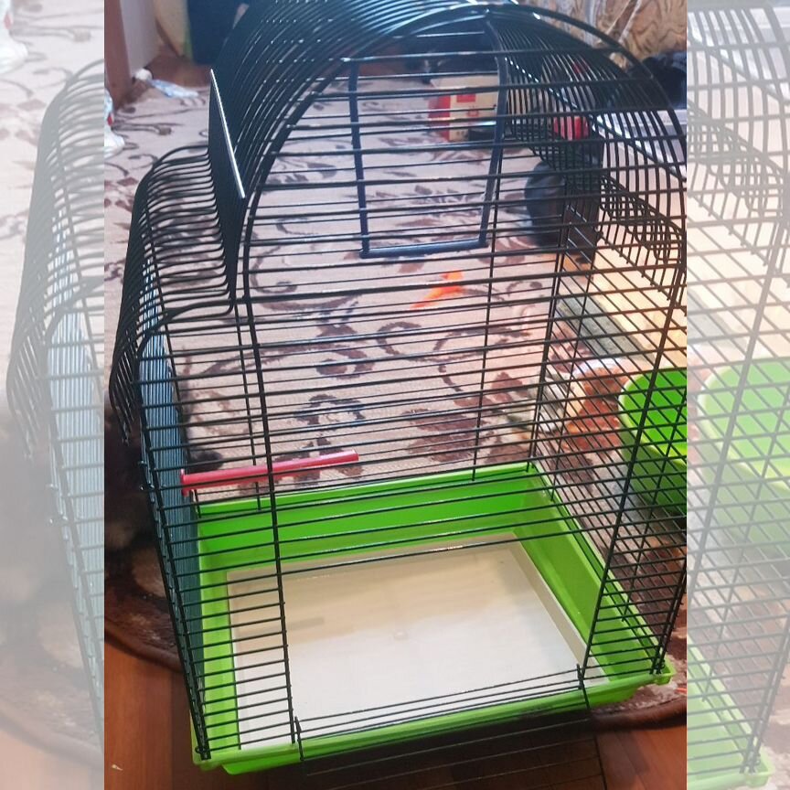 Клетка для попугая