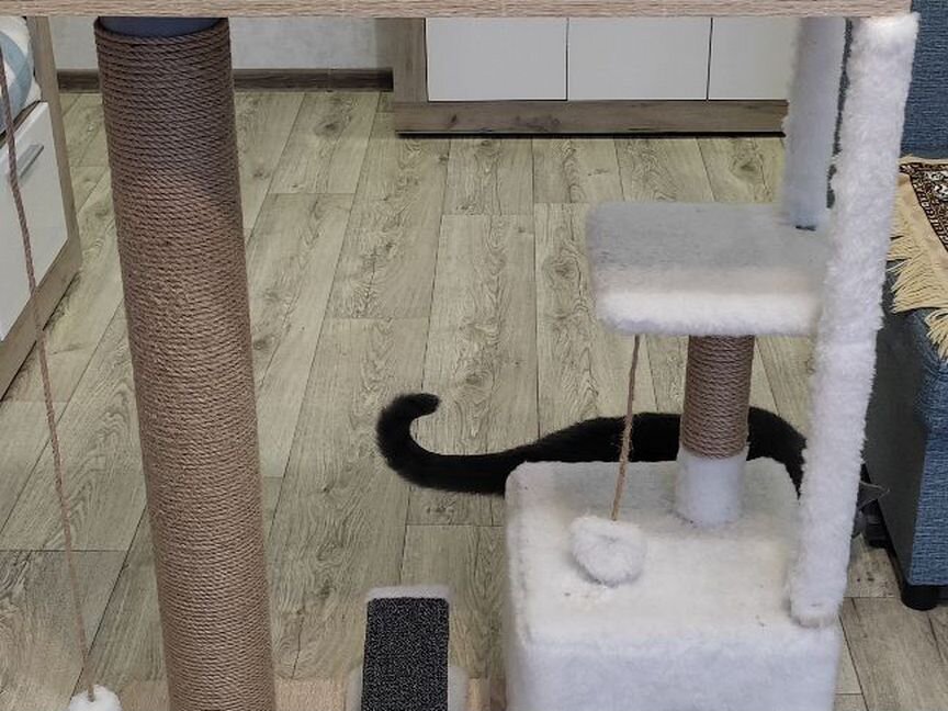 Домик для кошки с когтеточкой бу