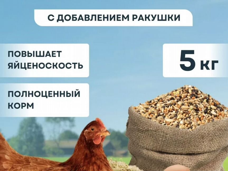 Зерновой корм для курей 5 кг