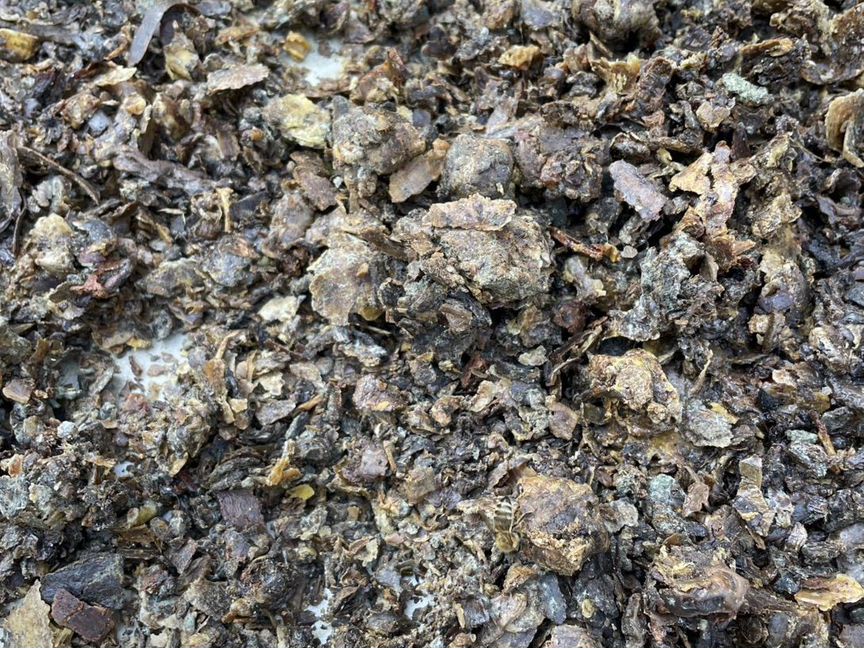 Прополис пчелиный