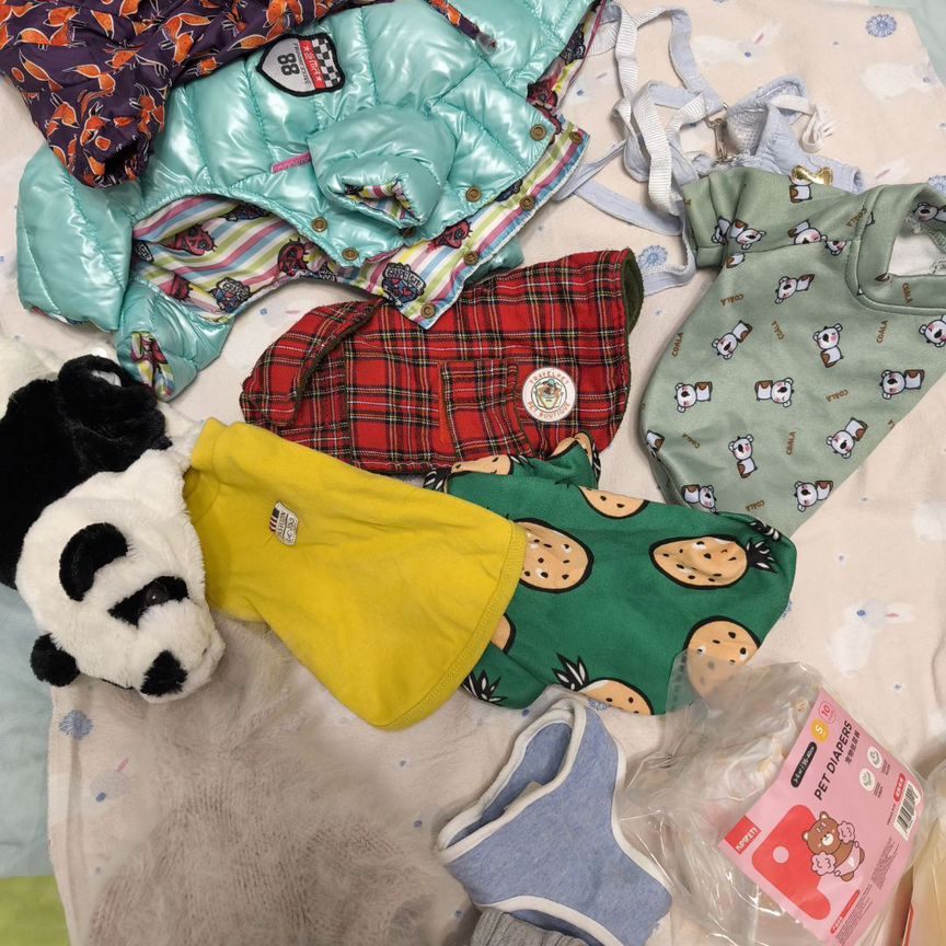 Одежда для собаки мелких пород 20см