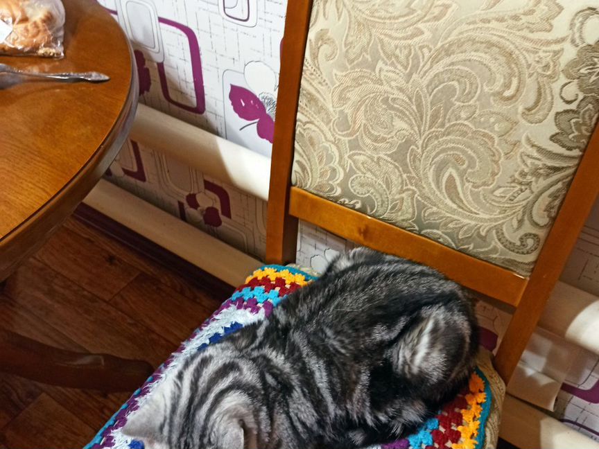 Отдам бесплатно