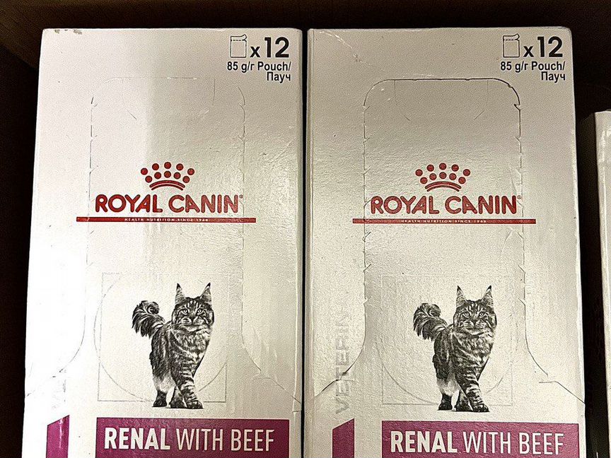 Влажный корм Royal Canin для кошек