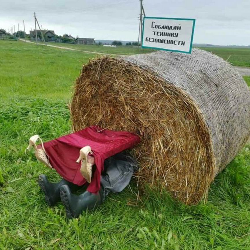 Сено в рулонах