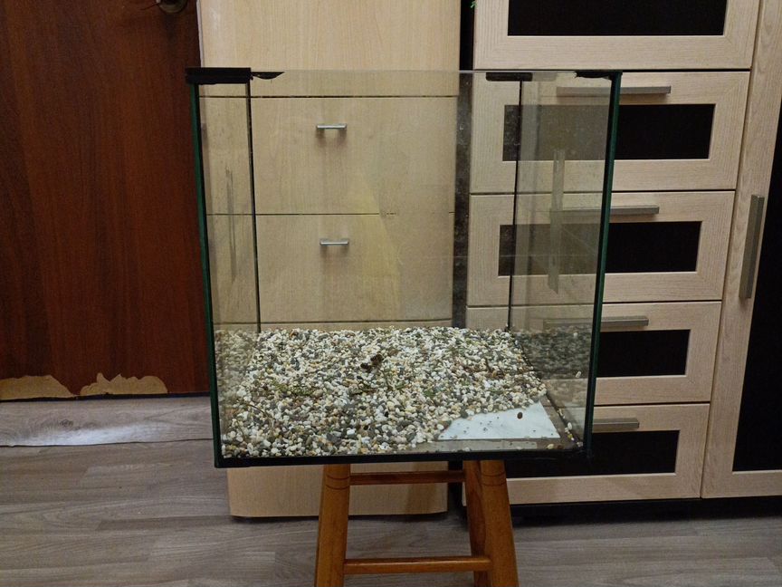 Аквариум квадратный