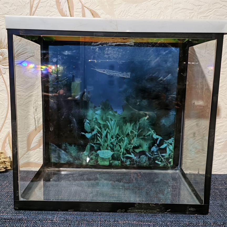 Аквариум 3.5 литра