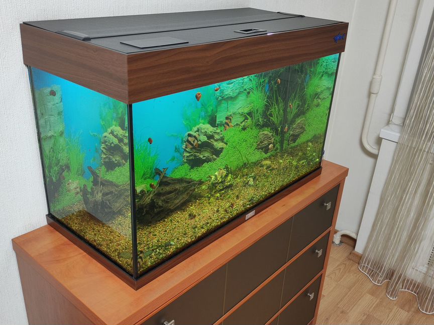 Аквариум Juwel Rio 125 л