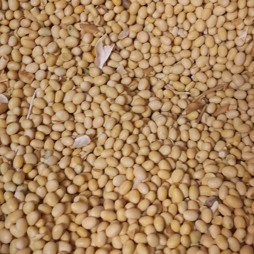 Соя, 500 тонн. НДС. ГОСТ