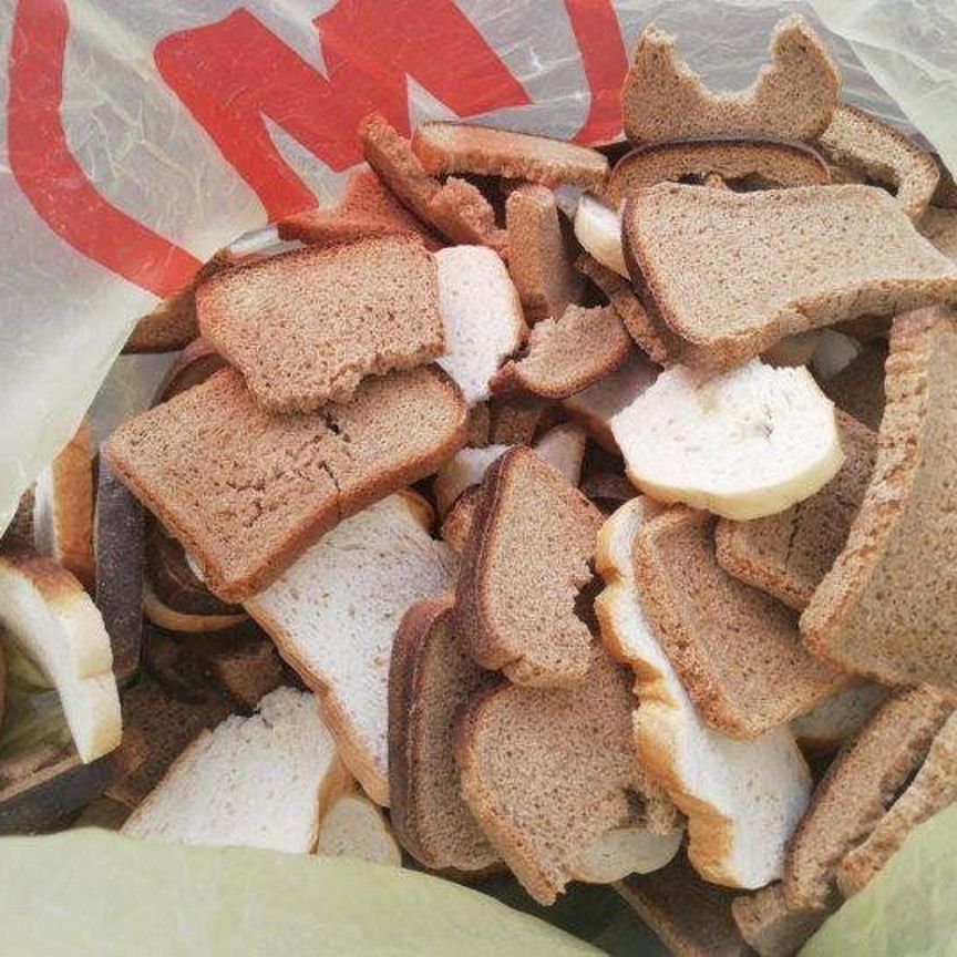 Сухари для животных