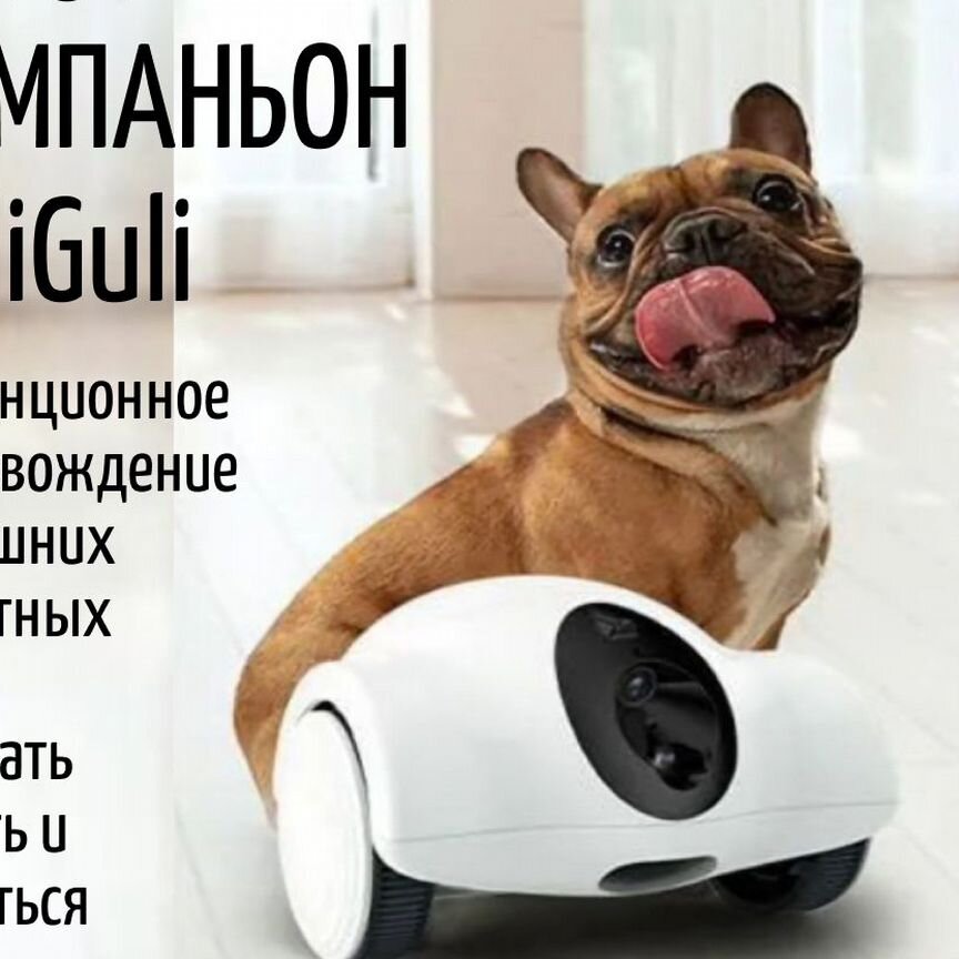 Робот-компаньон GuliGuli для кошек и собак с функц