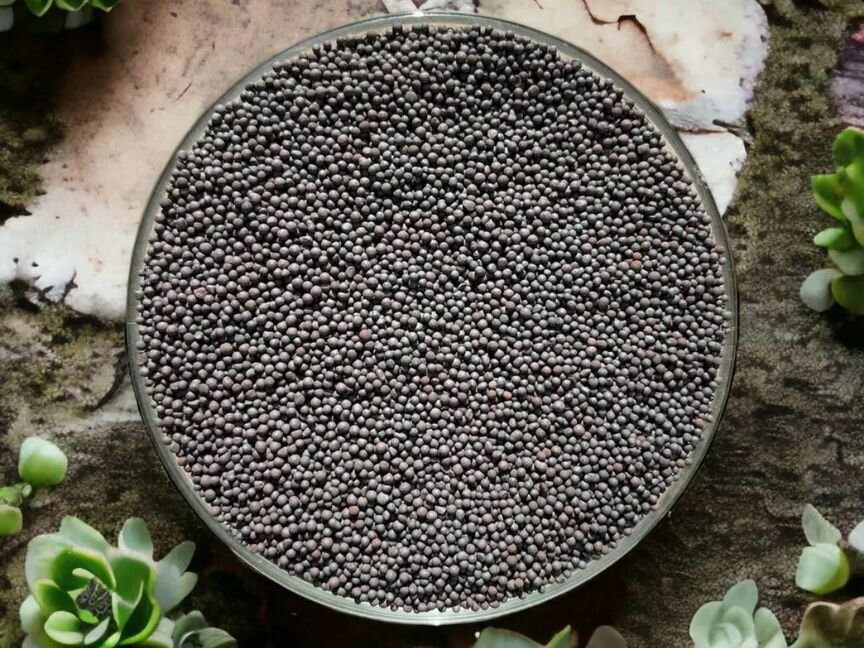 Товары для животных