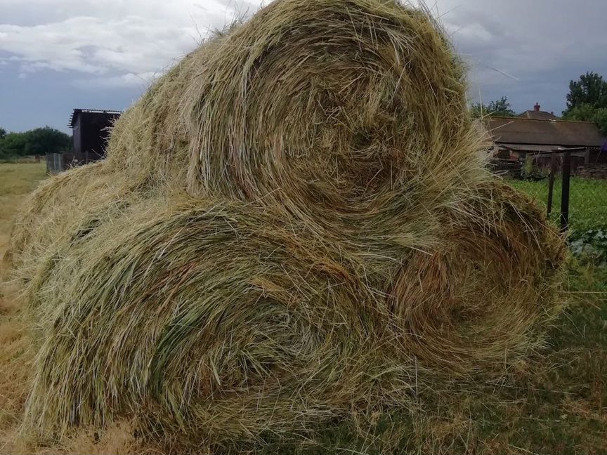 Сено катушка