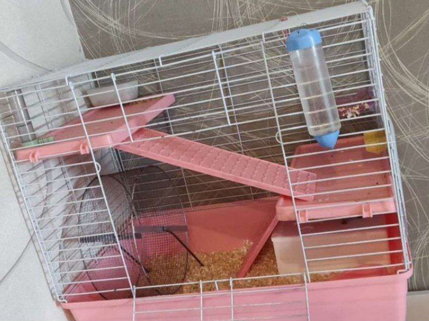 Клетка для грызунов большая