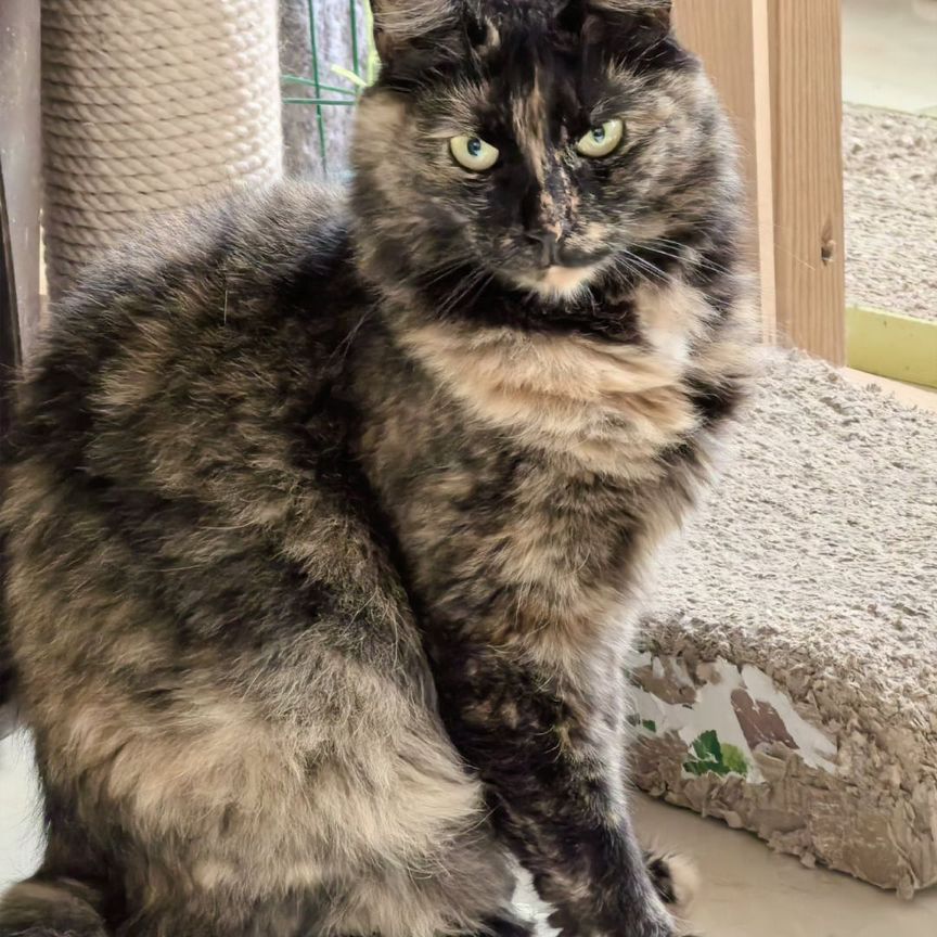 Ни кто не замечает