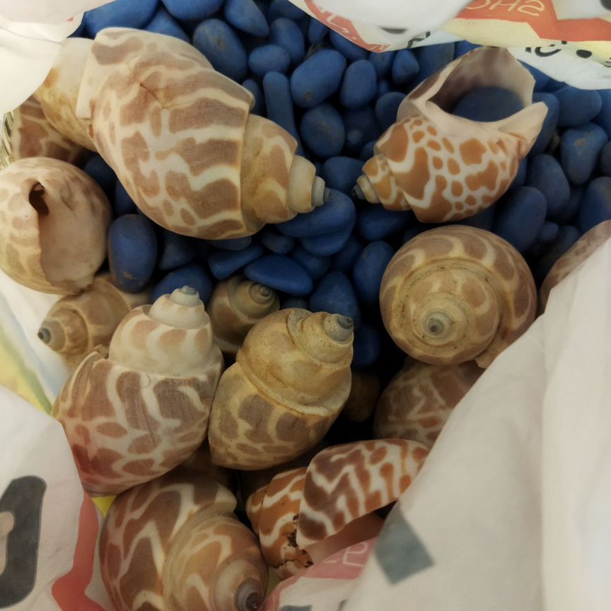 Камни для аквариума бесплатно