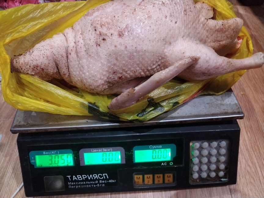 Продаю утки домашние