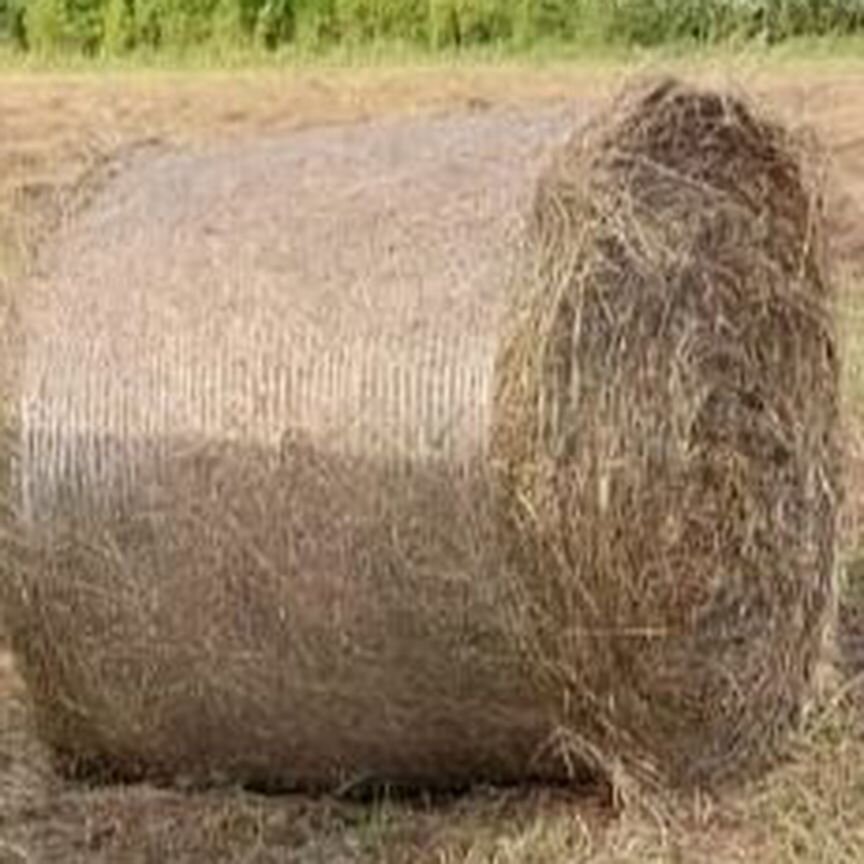 Продам сено в рулонах. Обмотка сеткой