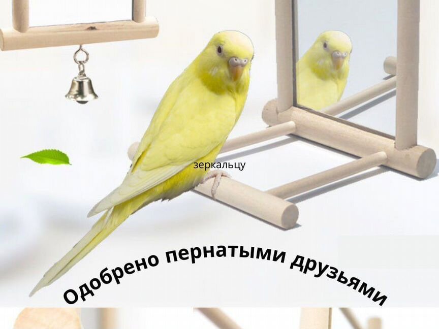 Зеркало для попугая с жердочкой+пенёк 2шт набор