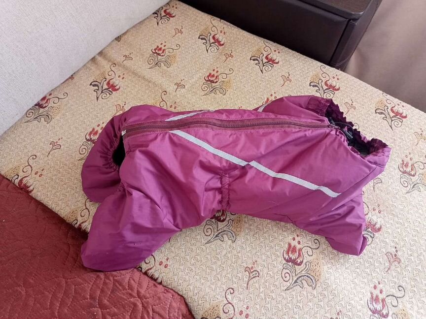 Теплая одежда для собак