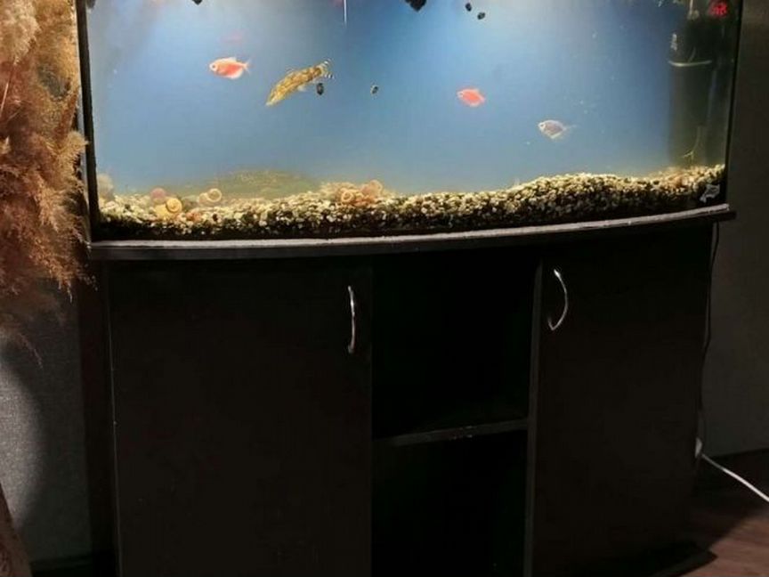 Аквариум с тумбой
