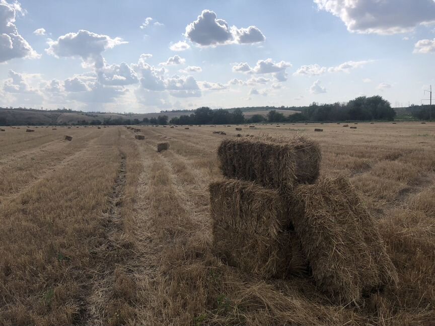 Салома пшено в тюках