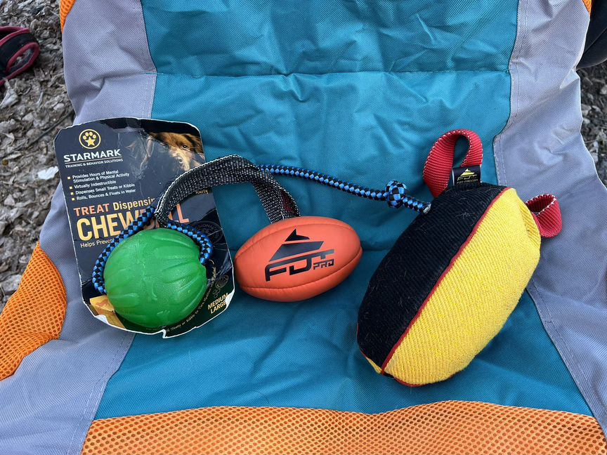 Амуниция для дрессировки fordogtrainers