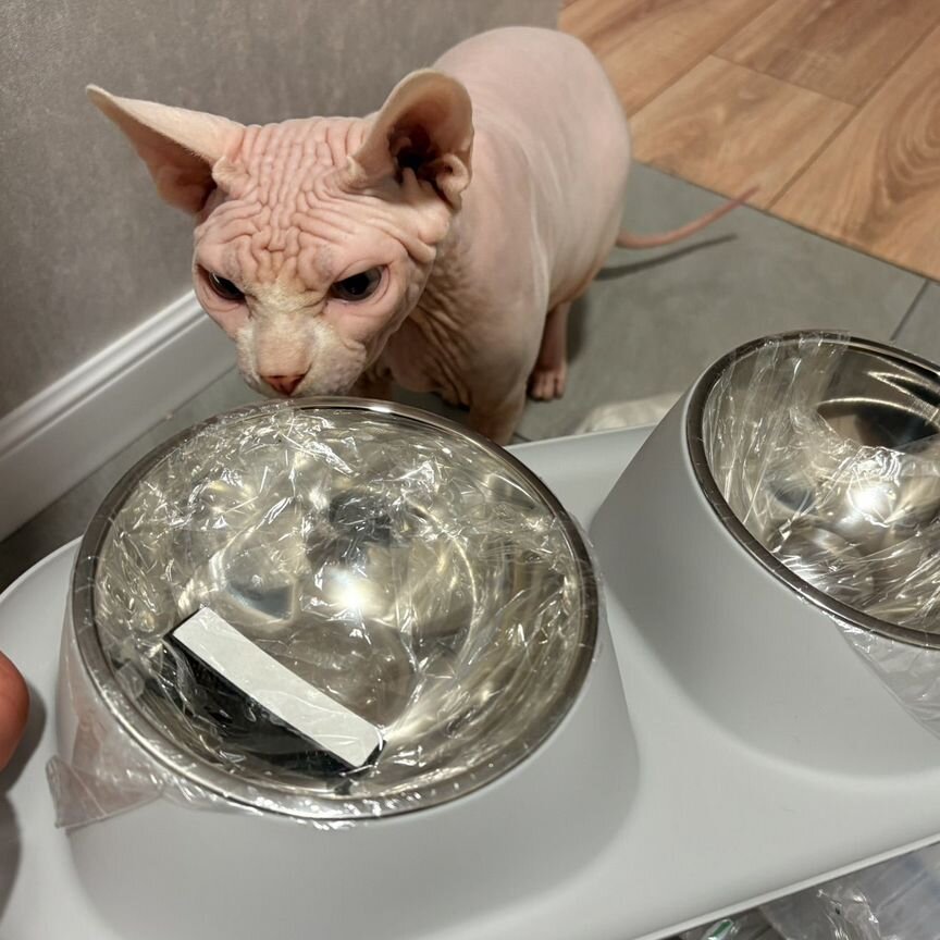 Миска для кошек и собак двойная