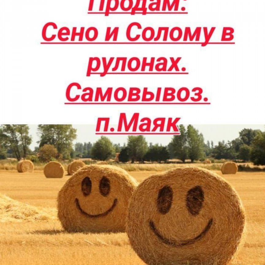 Продам сено,солому в рулонах. Самовывоз