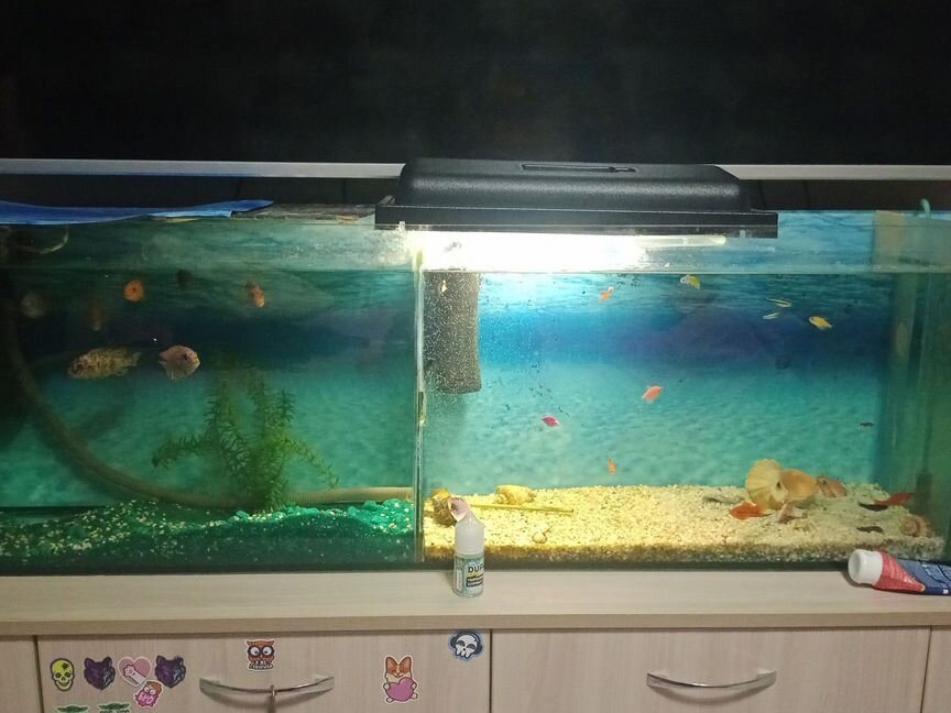 Аквариум с рыбками