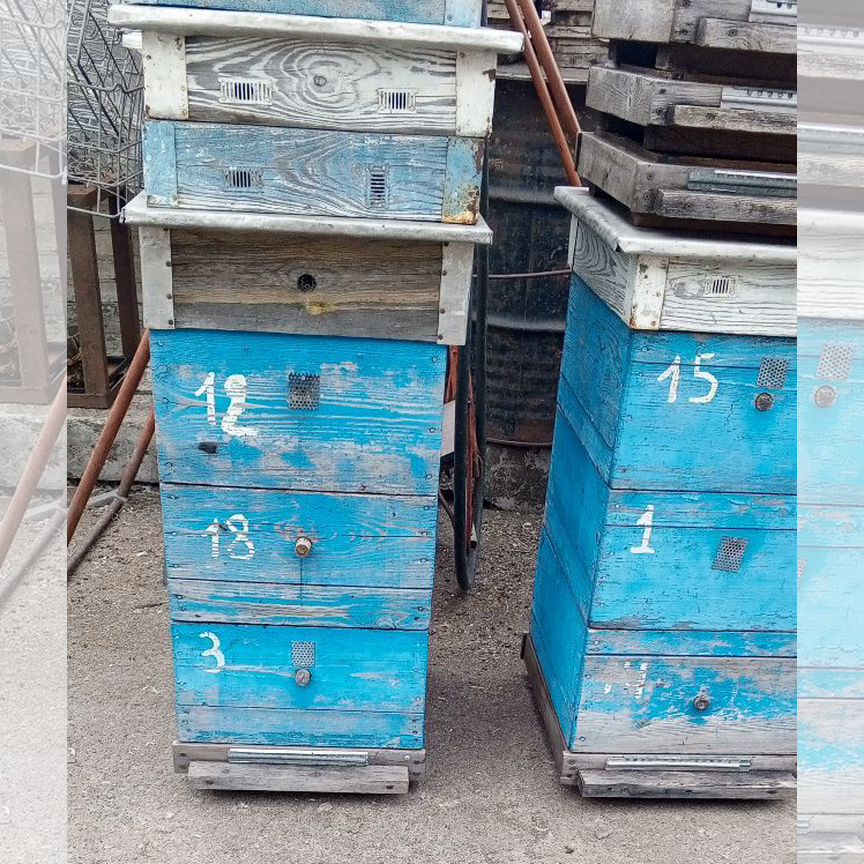 Улики для пчел, рамки, кормушки пылецеловители