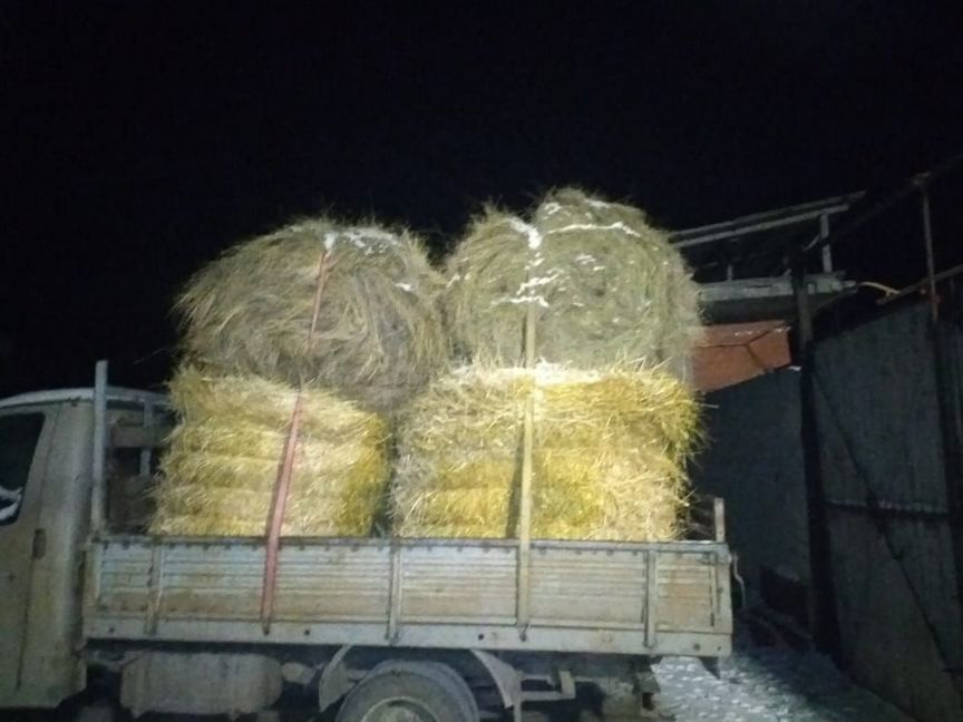 Еда для крс