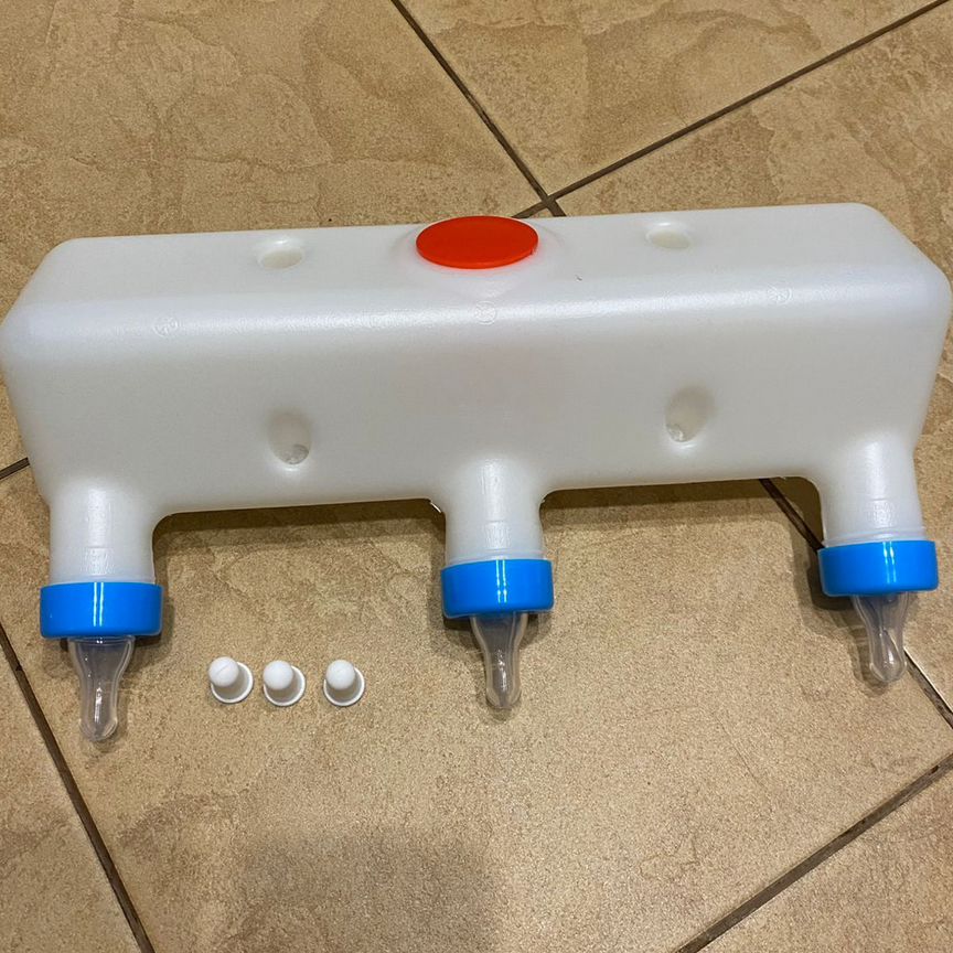 Устройство для кормления молоком животных средних