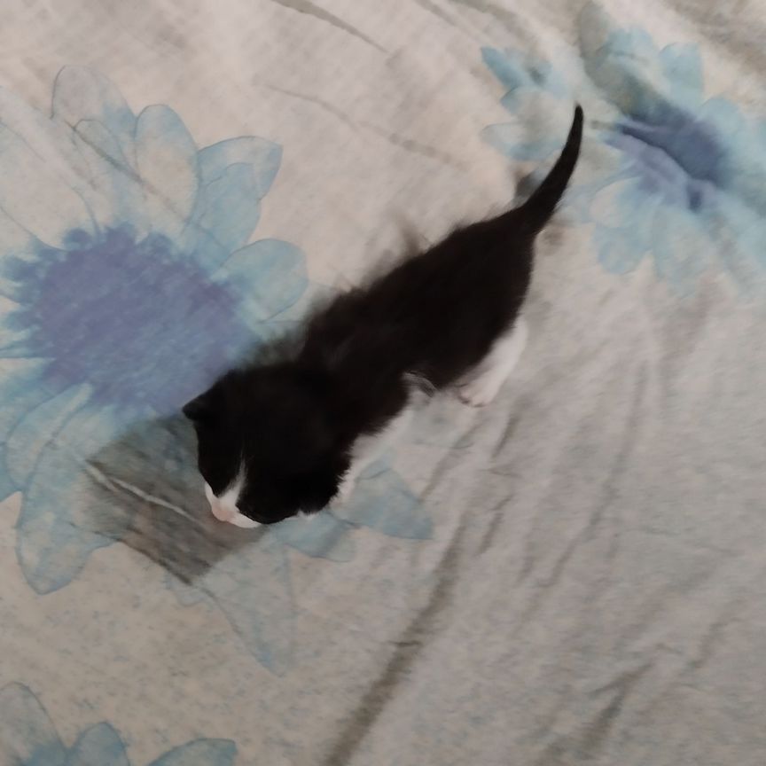 Малыш ждёт Вас