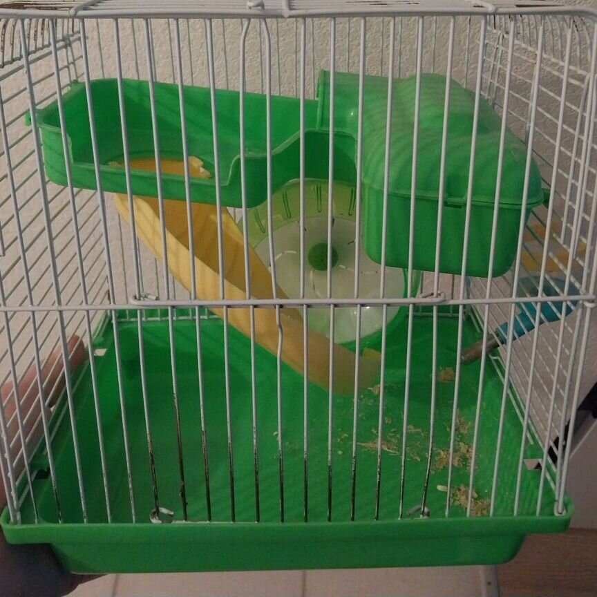 Клетка для маленького хомячка, джунгарика