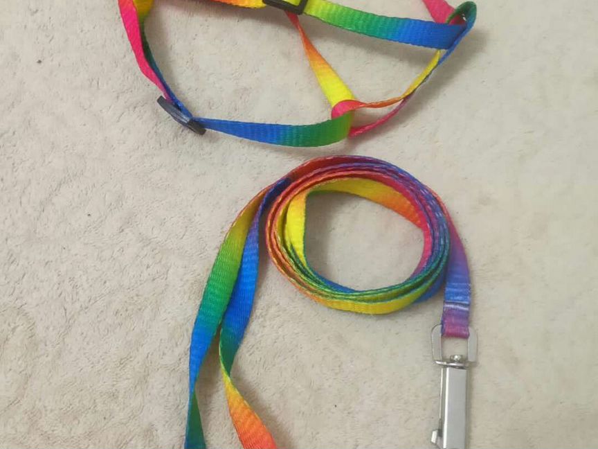 Шлейка и поводок д/кошек/собак