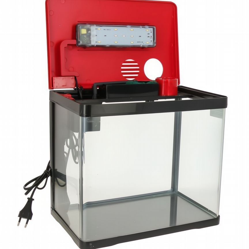 Аквариум с растениями