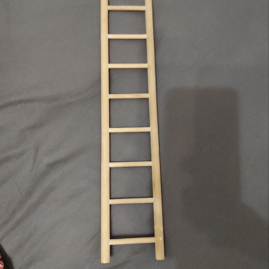 Лестница для попугая