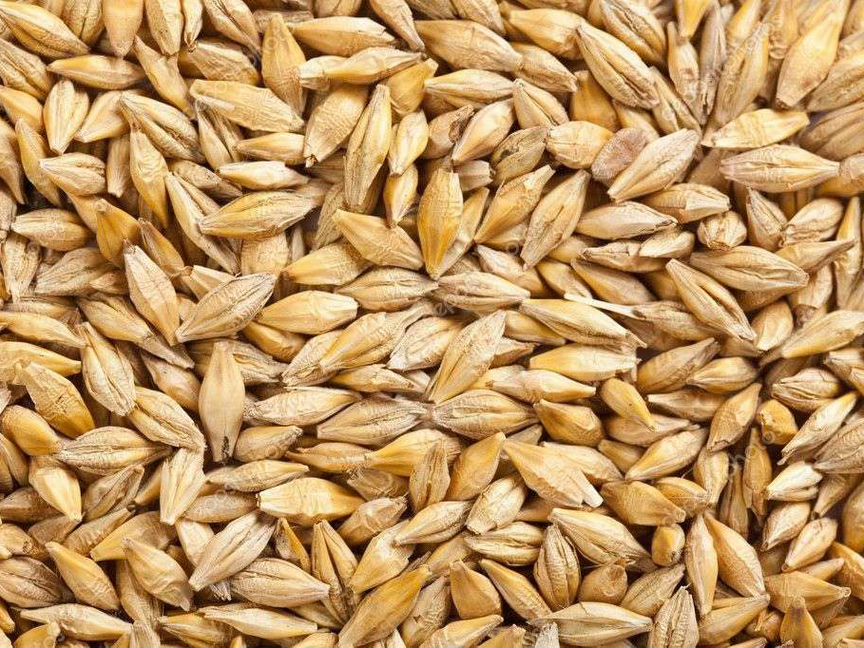 Продаю зерно