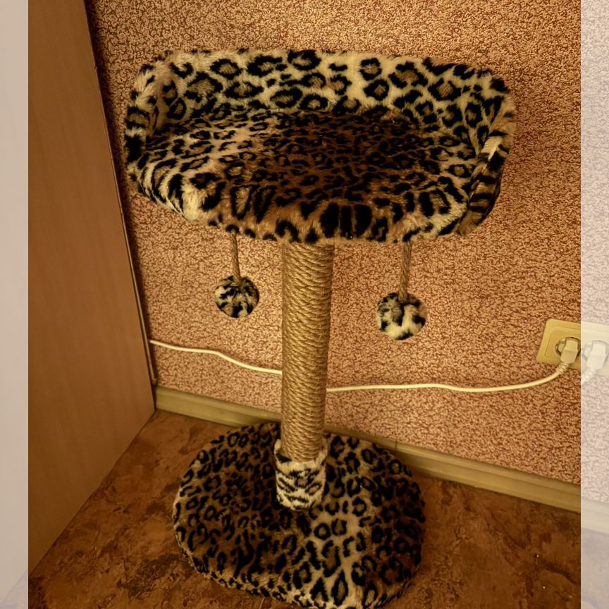 Когтеточка