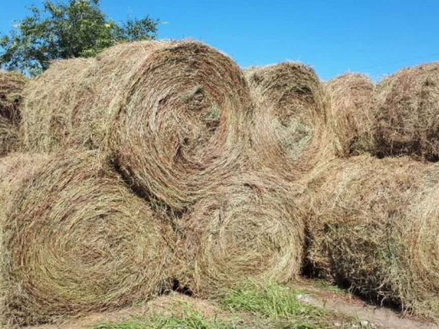 Сено в рулонах луговое